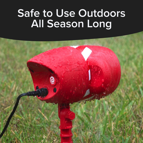 Star Shower Slide Show - Christmas | With Remote